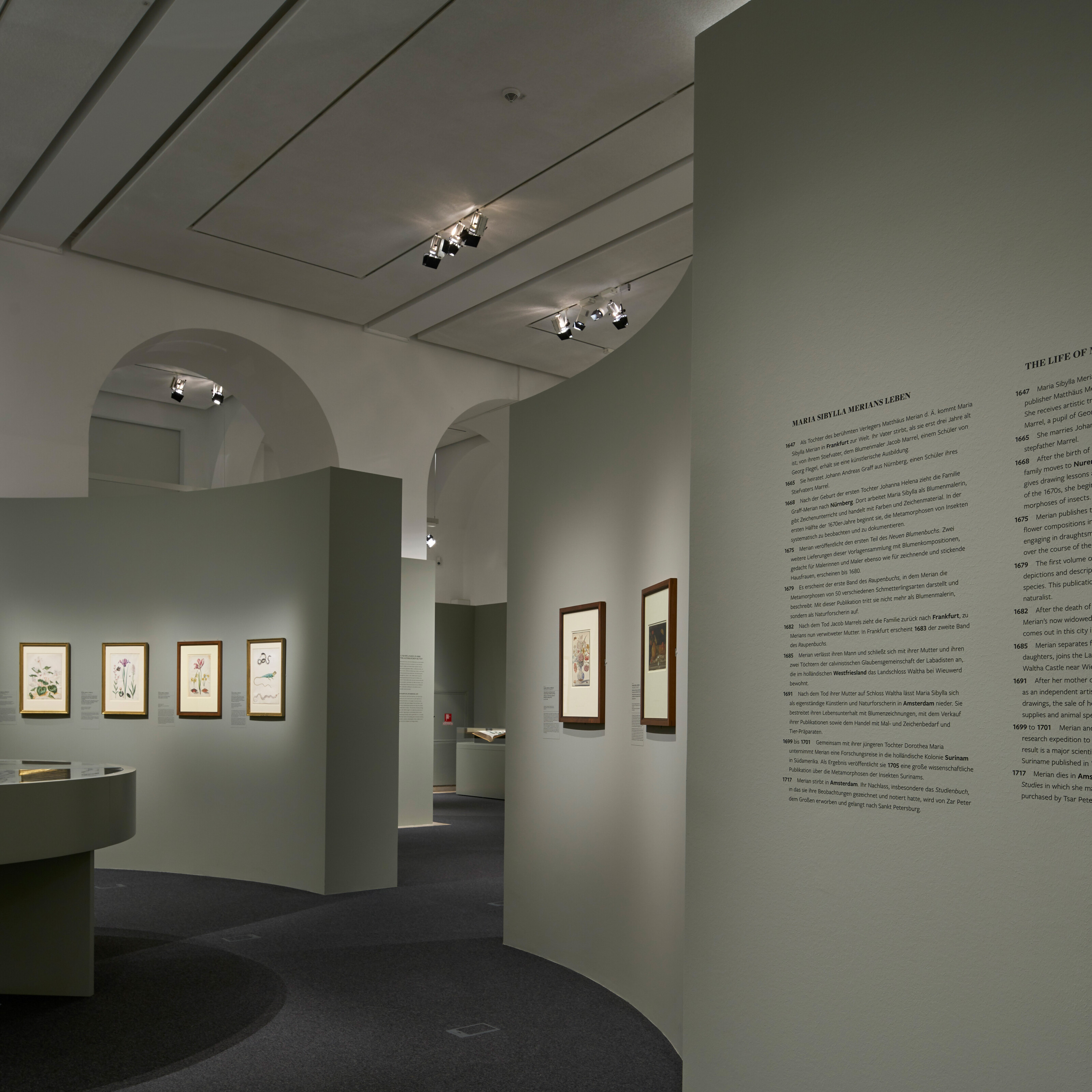 Bach Dolder — Maria Sibylla Merian